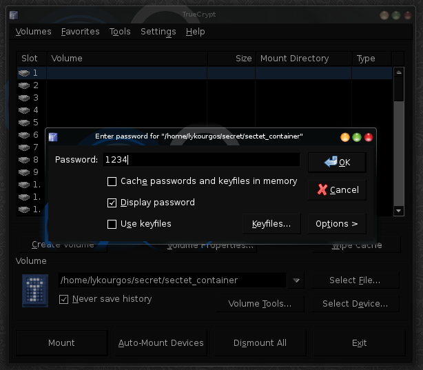 Cracking truecrypt containers with truecrack - Anarxus